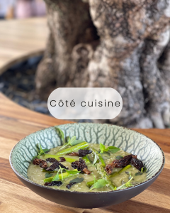 les jardins de Saint-Germain